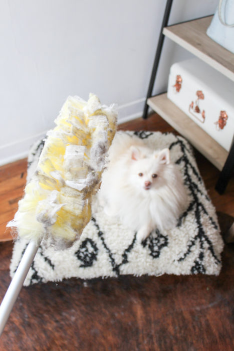 Keeping a Clean Home with Swiffer Pet Products - Horses & Heels