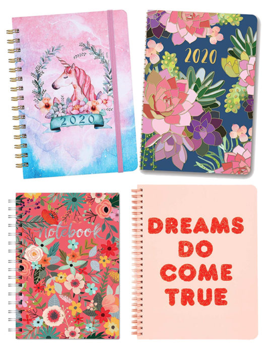 100 Planners & Notebooks for 2020 - Horses & Heels