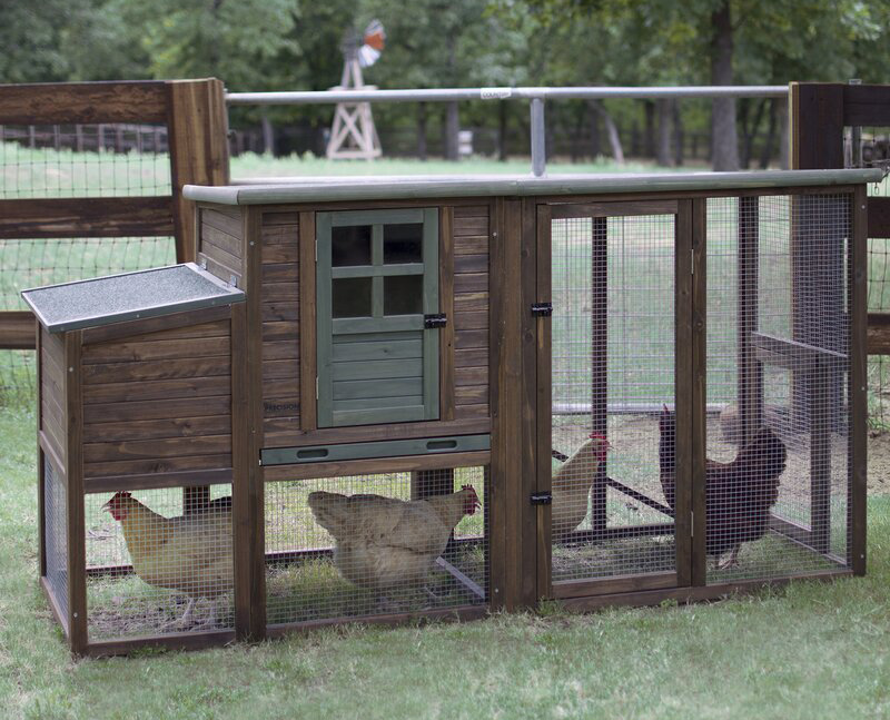 The Best Chicken Coops for Your Yard or Small Farm - Horses & Heels