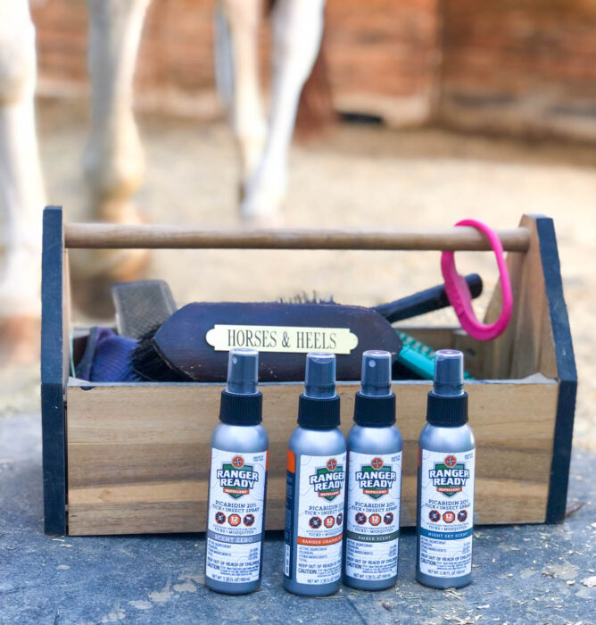 The Best Insect Control for Horses & Their Stables - Horses & Heels